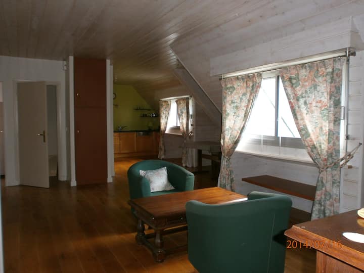 Très Joli Appartement - Fouesnant