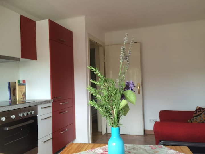 Ferienwohnung "Stella Romana", 2 Bis 4 (5) Gäste - Trier