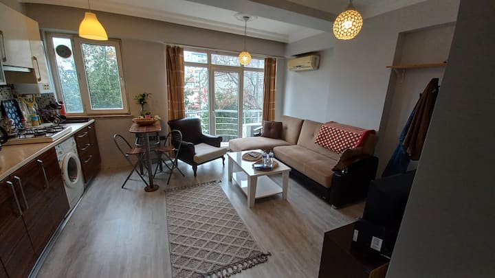 Comfortable Flat Close Totaxim - 이스탄불