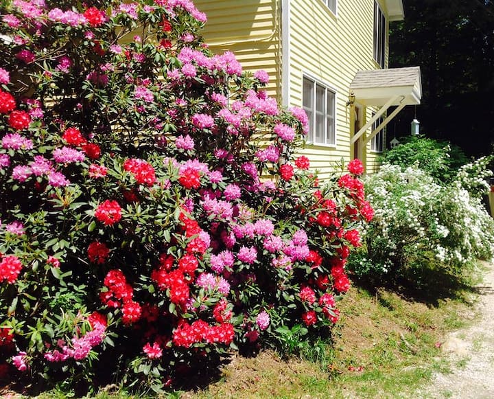 Nana's House - Woodstock, VT
