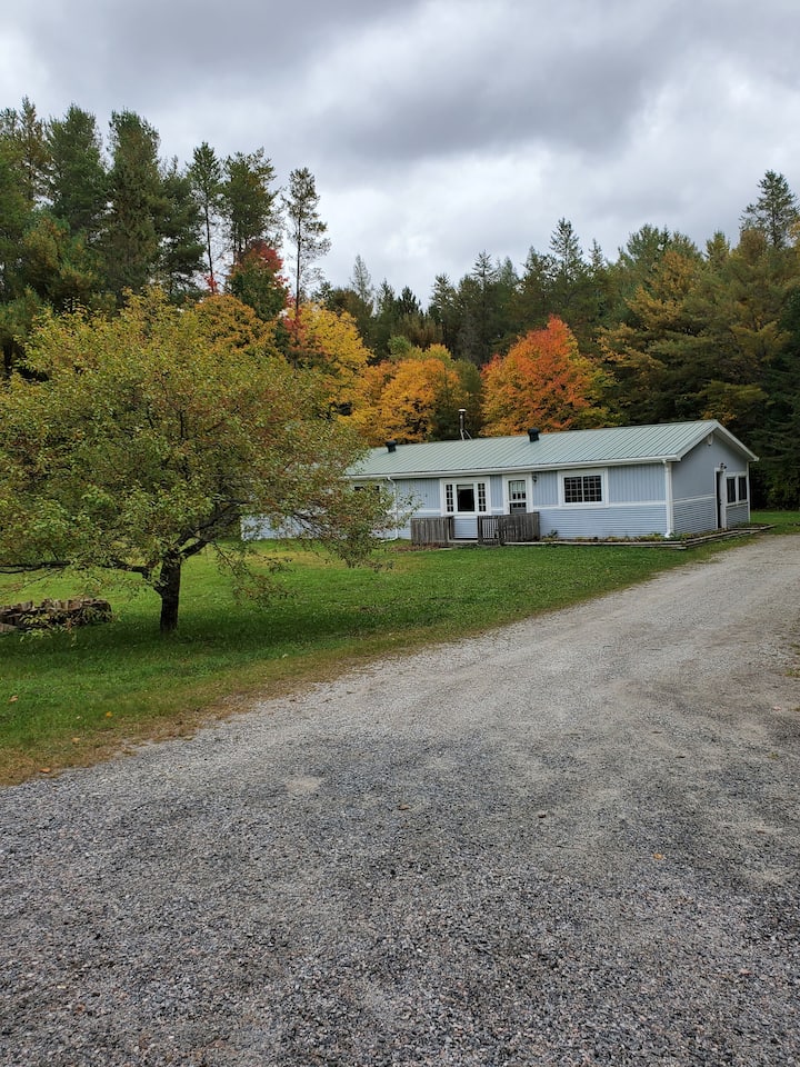 Sky Blue Cottage Retreat - Bracebridge