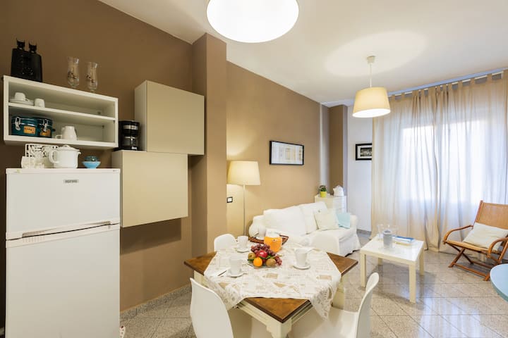 Ponte Vecchio | Arno Sand Flat - Florence