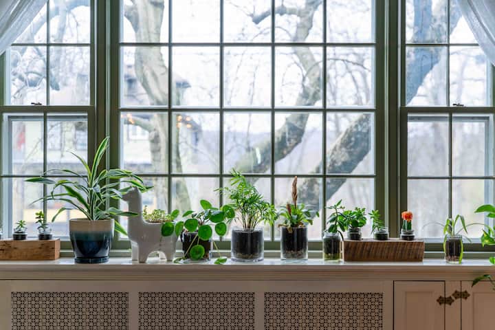 Vintage Village Home In The Heart Of New Paltz - New Paltz, NY