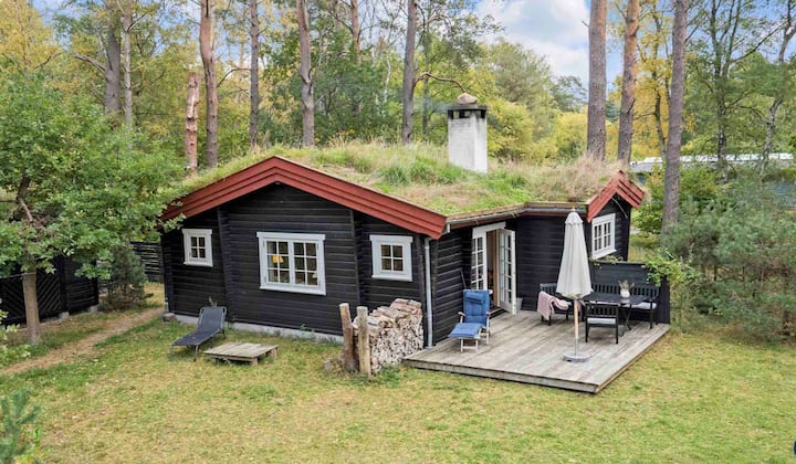 Asserbo. Idylisk Sommerhus På Stor Naturgrund. - Danmark