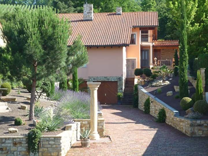 Ferienwohnung Am Alten Weinberg - Würzburg