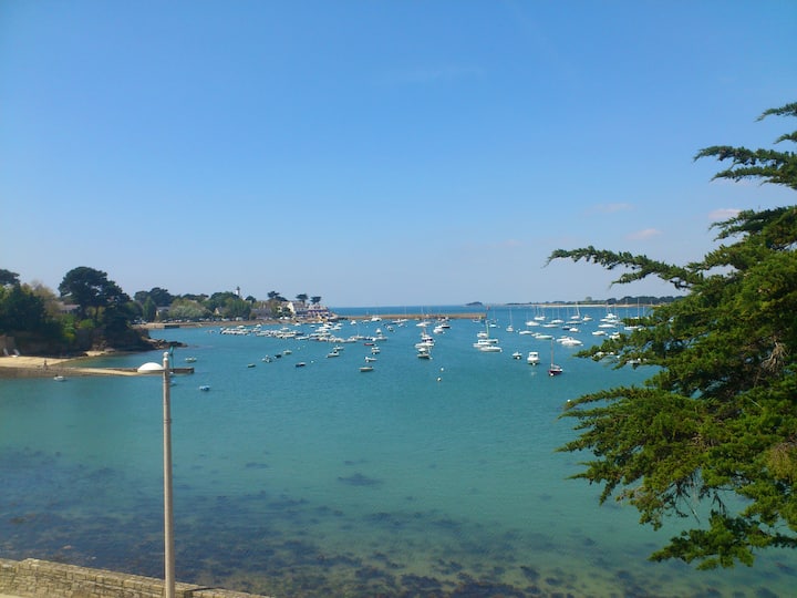 Vue Sur L'entrée Du Golfe Du Morbihan - Arzon