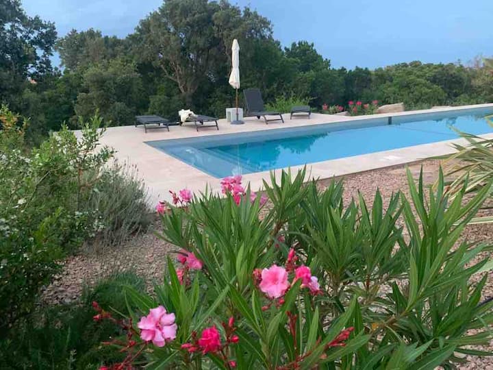 Villa  Contemporaine Vue Mer Et Montagne - Piscine - Corse-du-Sud