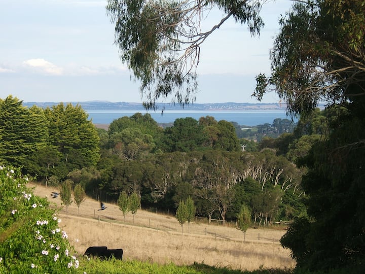 Island View Studio- Romantic Getaway For Couples - Red Hill