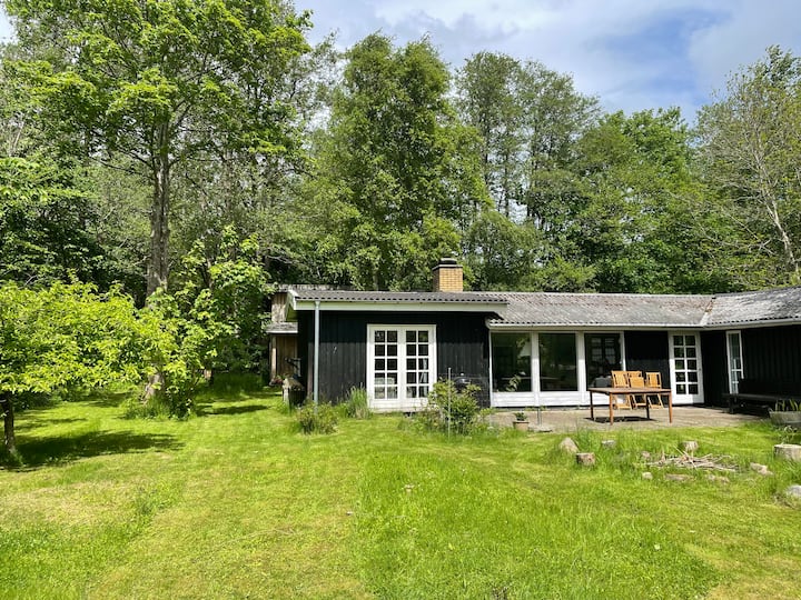 Lys, Rummelig Feriebolig Med Stor Skovhave - Danimarca
