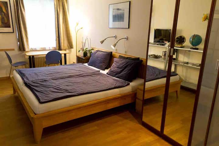 Cozy Apartment In Zürich Center - Zürich