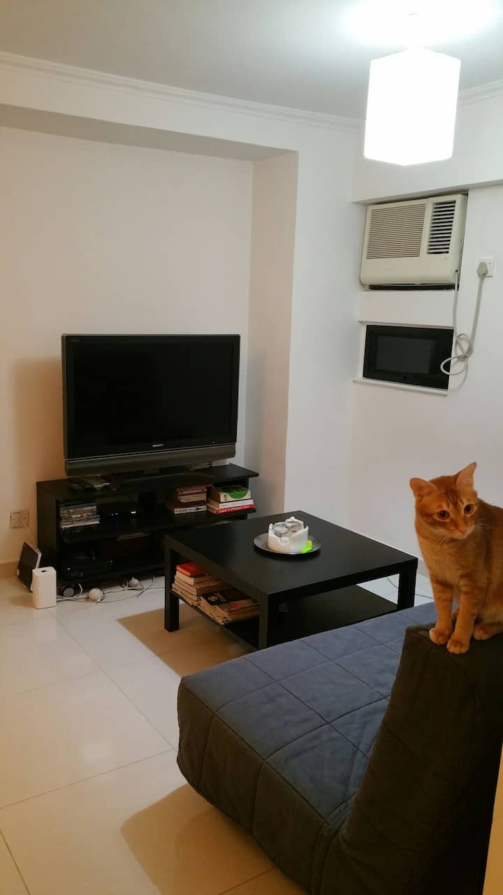 Superb Flat In Sheung Wan, A Bedroom Is Available - Sai Ying Pun