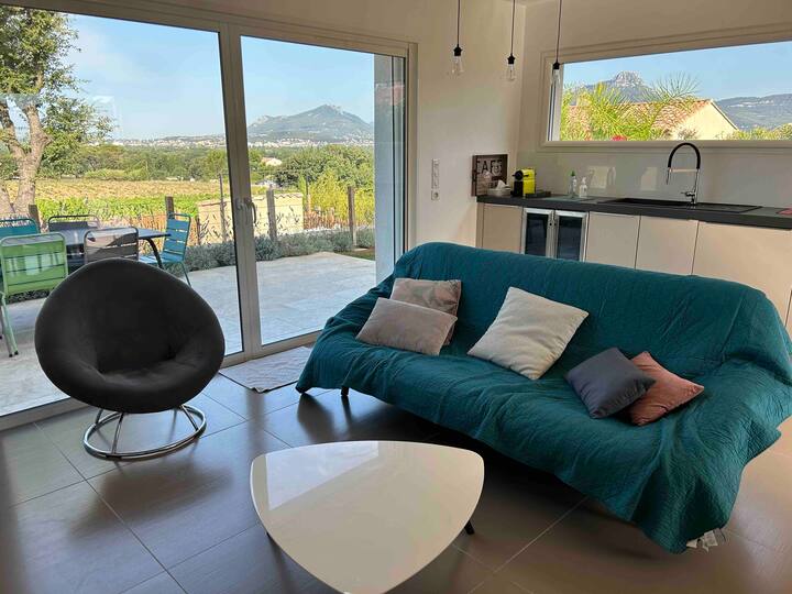Villa Piscine Proche De Hyères,carqueiranne, Giens - La Garde