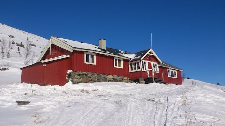 Seter Ved Skogshorn. Høgestølen / Hemsedal - Noorwegen