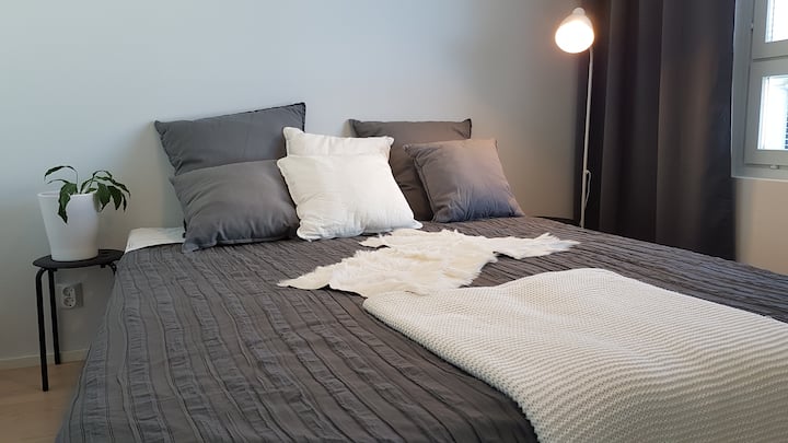 New City Center Apartment, Sauna, Free Wifi - 羅瓦涅米