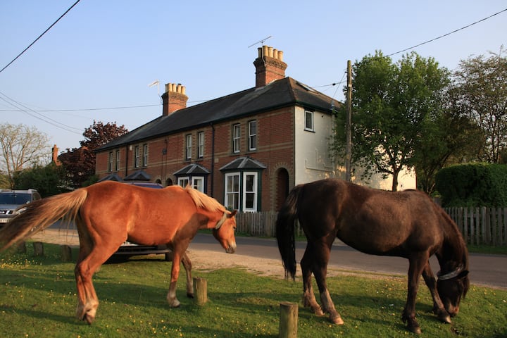 New Forest Views From Comfortable Cottage In Brock - 브로큰허스트