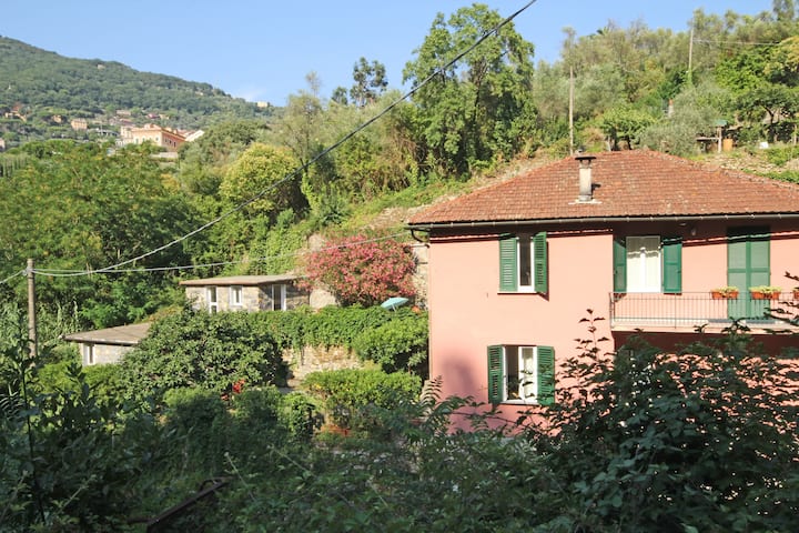 Ex Mulino Ai Confini Del Parco Di Portofino - Camogli