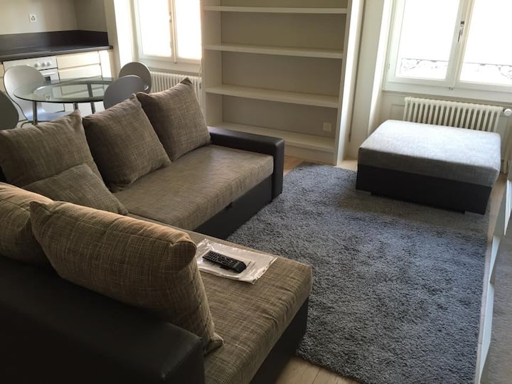 Geneva City Center-1 Bedroom Flat (4.2.3d) - Ginebra