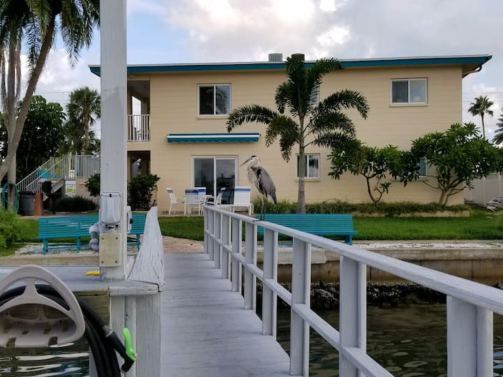 Treasure Island Property - Treasure Island, FL