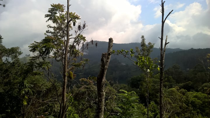 7 Places to visit in Badulla Sri-Lanka 2022 | Best Tourist places