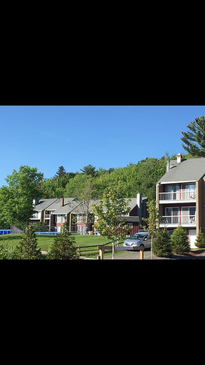 Entire Condo In Hunter Ny, Gorgeous Area- Sleeps 6 - Hunter, NY