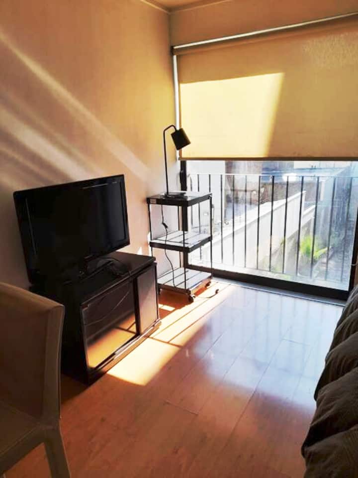 Cozy Studio At The Heart Of Barrio Lastarria - Santiago