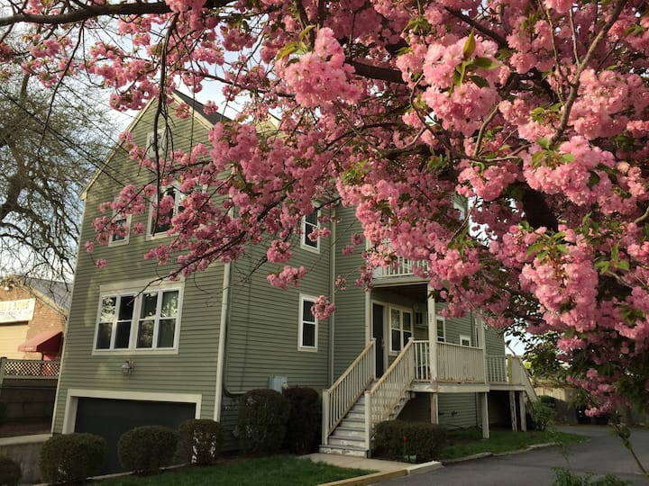 The Harvard Room - Boston, MA