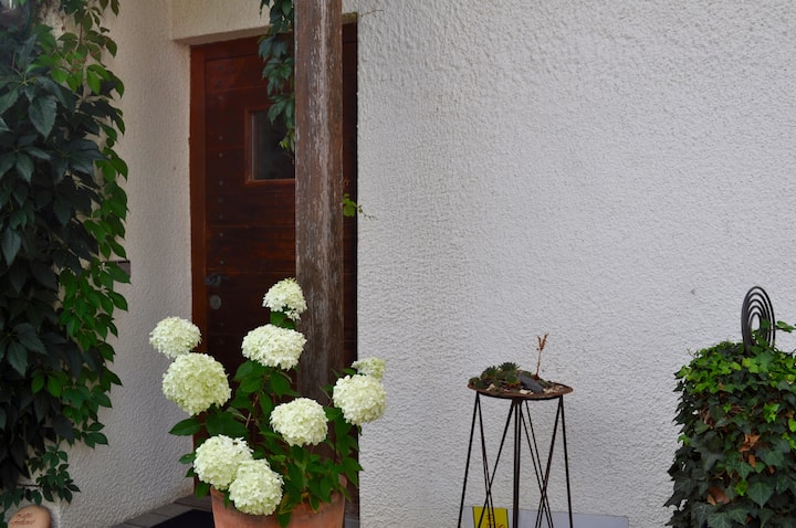 Ferienwohnung Palatium Im Süden Der Pfalz - Weißenburg
