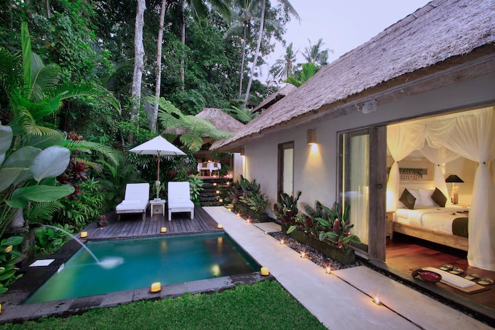 A Peacfull And Relaxingvilla In Ubud - Bali