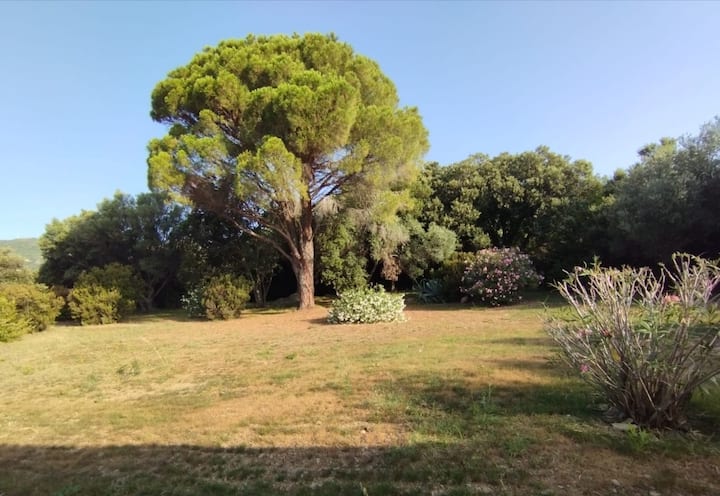 Maison Familiale Au Calme Proche Mer - Macinaggio