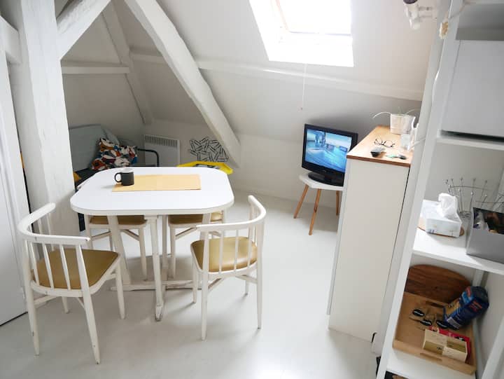 Pied à Terre Centre Ville Bail Mobilité 1 Mois Min - 낭트