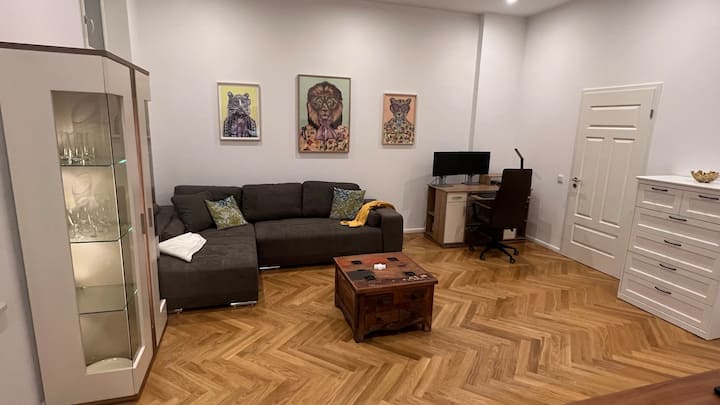Exklusive Altbauwohnung Mit Arbeitsplatz We5 - Halle (Saale)