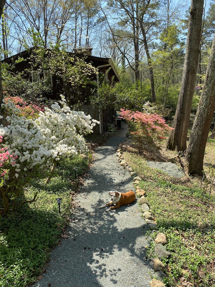 Sunflower Suite/house Apt. Near Franklin St. & Unc - Chapel Hill, NC