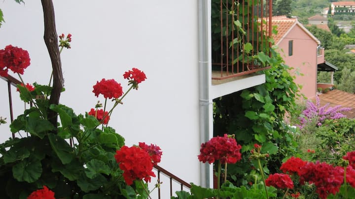 Spacious Place For 2 In Jelsa - Jelsa