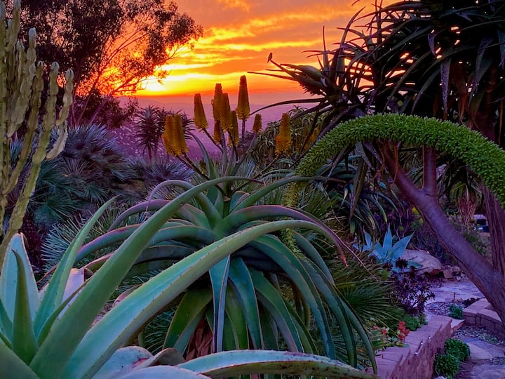 1 Bd/1 Ba Mtn. View Apt. In Wine Country Near Sd - Poway, CA