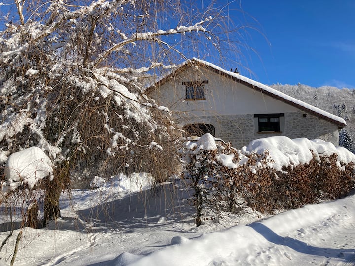 Le Mûrier - Confort