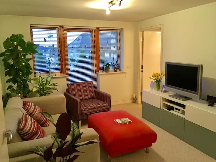 Beautiful, Light And Modern Flat With Balcony - London