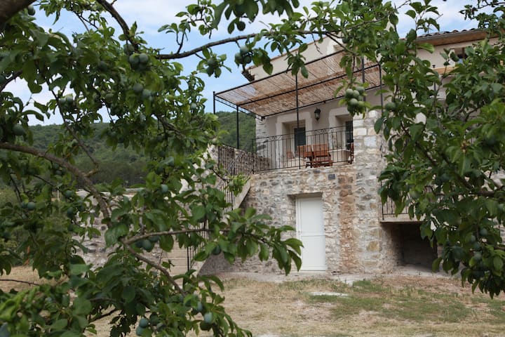 Bussas Dans Bastide Médiévale - Viviers