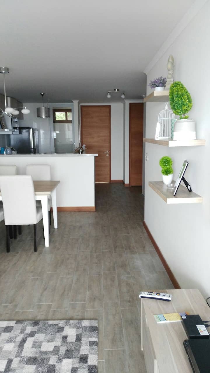 Central Lindo Apartamento Playa - Viña del Mar