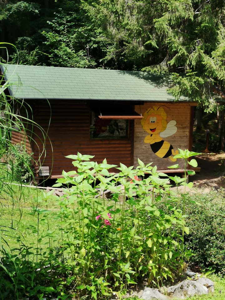 The Big Bee Maja- Glamping House - Bled