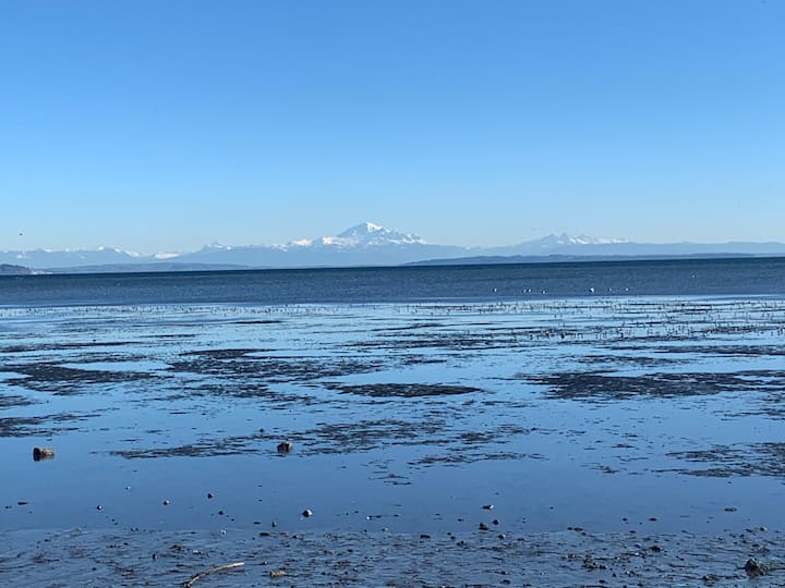 Bright Open Beach House. - Tsawwassen