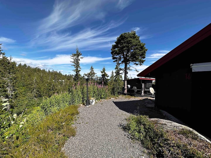 200 M Fra Blefjell Lodge - Kongsberg