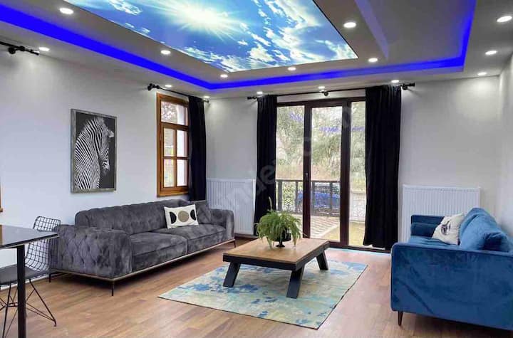 Hot Swimming Pool And Sauna 5+1 Villa - Mamma Rosa - Sapanca