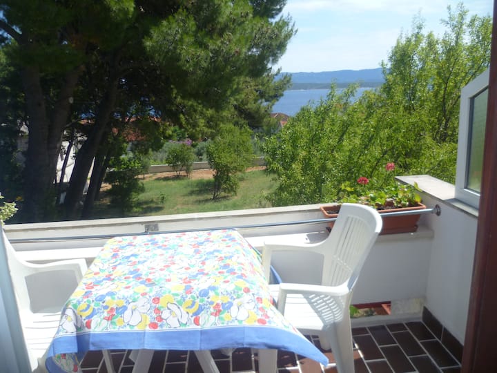 Pine Wood One Room Apartment - Bol