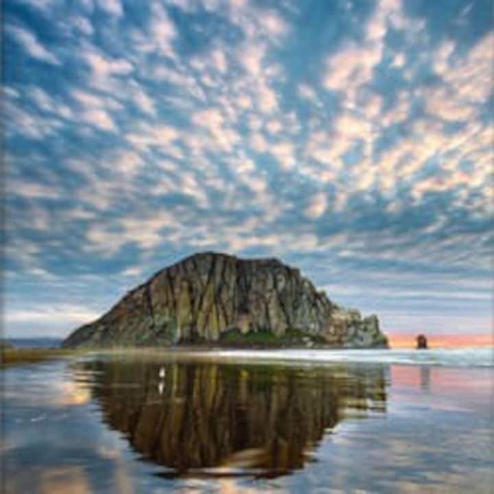 New Morro Bay 2024 - 5 Star Exec Rntl - Tax Incl. - Morro Bay, CA