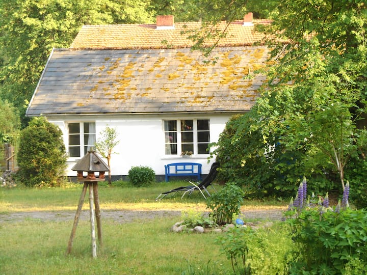 Stechlinsee Idyllisches Cottage Im Wald 1 - Gransee