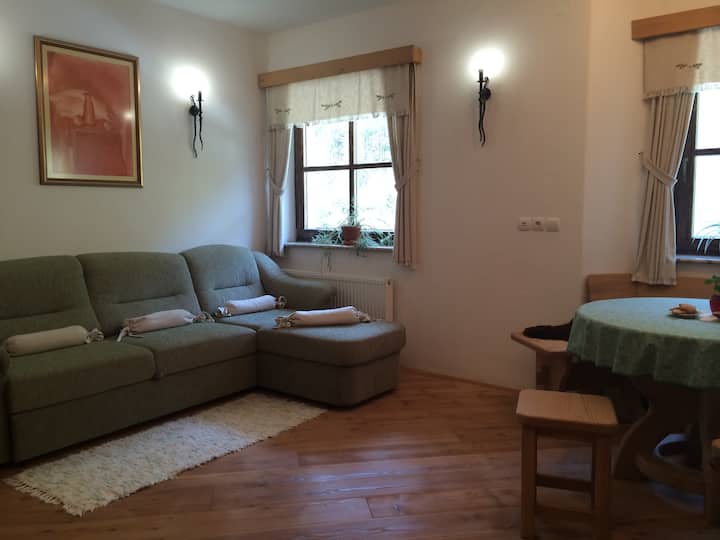 Apartment Savinja • Wellness • Logarska Valley - Logarska Dolina
