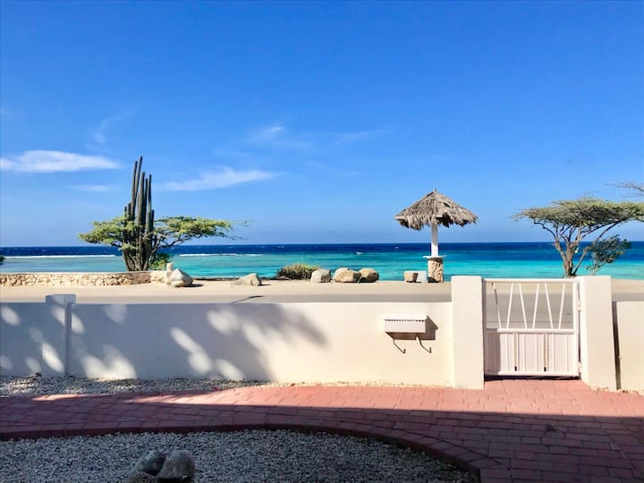 Aruba Beachfront Vacation Rentals | Airbnb