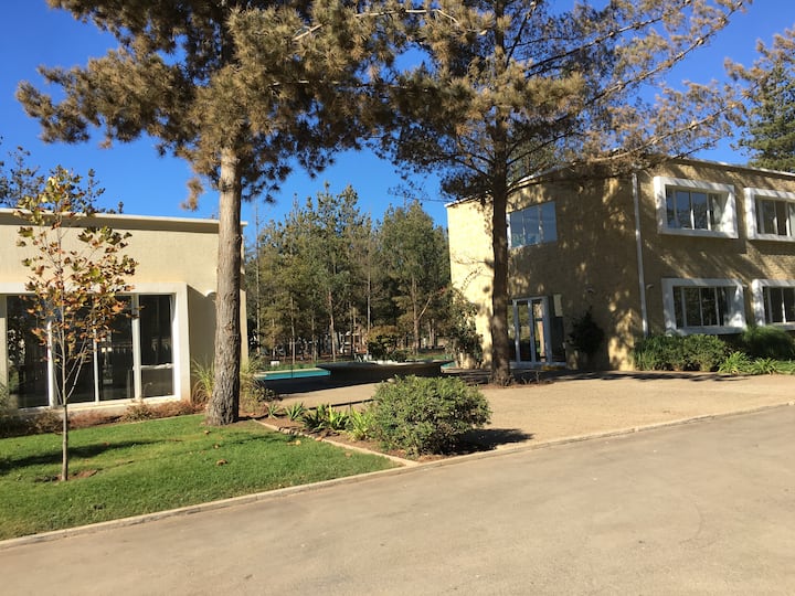 Paz & Bosque - Descansar Cerca Del Mar - Algarrobo