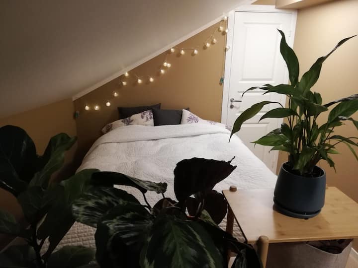Cozy Home In Historic Tromsø - 트롬쇠