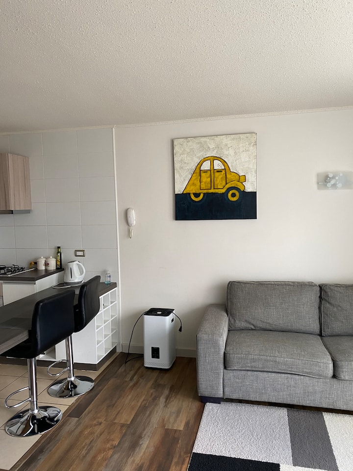 Cómodo Departamento - Estacionamiento Privado - Valdivia